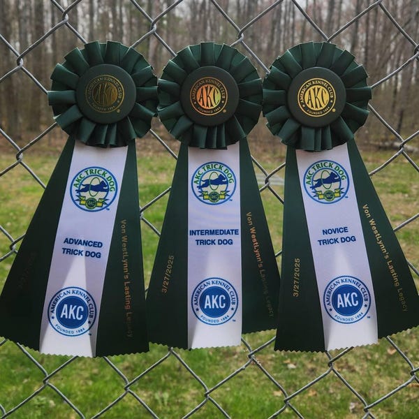 AKC Virtual Home Manners Rosette - Puppy & Adult (rosette Center Style ...