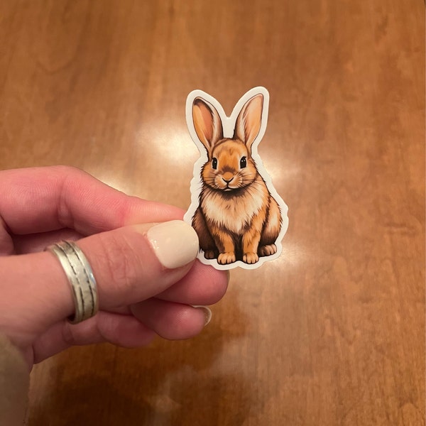Safari Stickers Bundle - Etsy