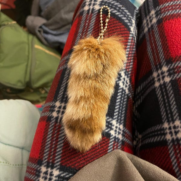 Genuine Bobcat Tail Keychain (CHOOSE SIZE) - Etsy