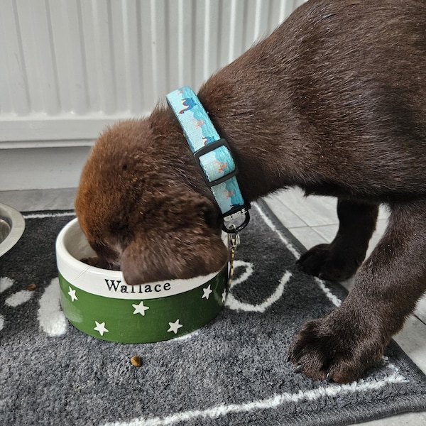 Springer Spaniel Bowl - Etsy