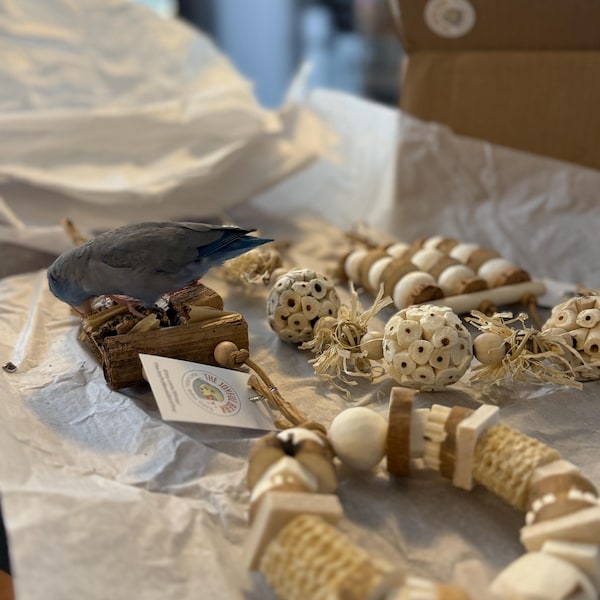 Crazy Daisy - Natural Grass Chew Toy for Small and Medium Sized Birds ...