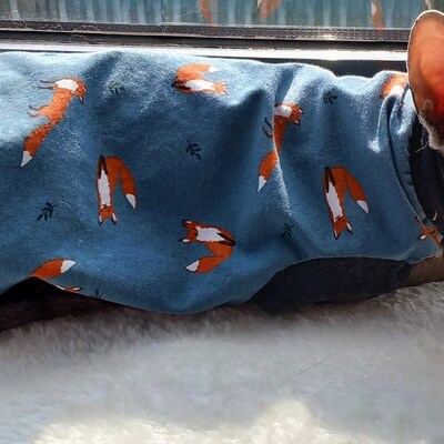 Premium Cat House is Made From Recyclable Cardboard Cubes With a Scratch Panel and Punch of ...