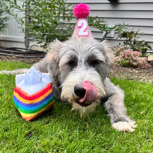 Cat Birthday Hat Pet Party Hat Puppy Birthday First - Etsy