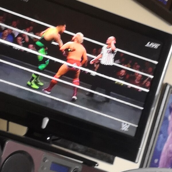 TJPW All Rise 2024 Pro Wrestling Dvd - Etsy