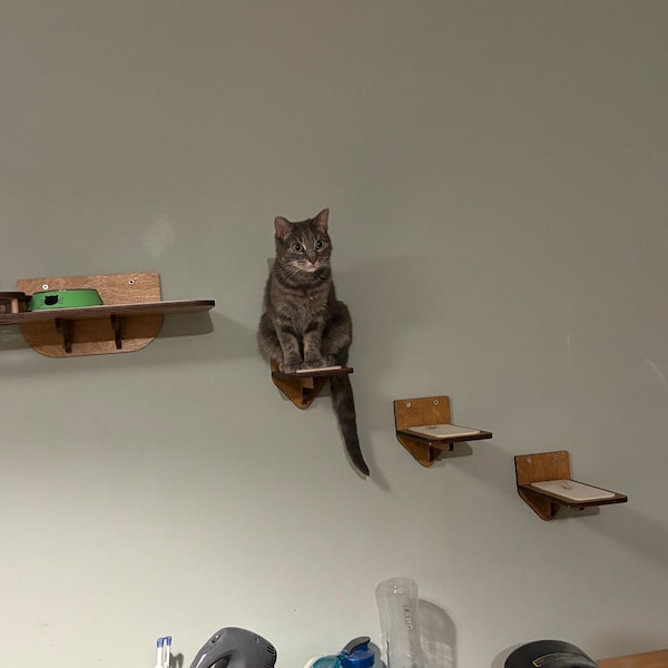 Cat Wall Furniture, Modern Cat Wall Shelves, Cat House, Cat Wall Bed ...