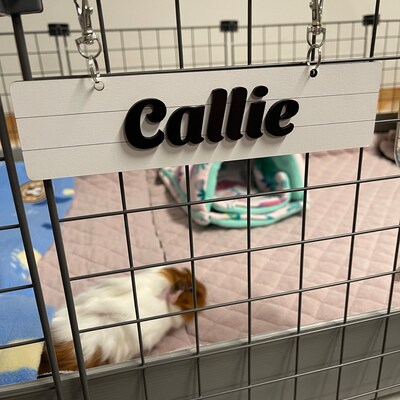 Personalized Crate Tag, Pet Crate Name Sign, Hello My Name is Hanging ...