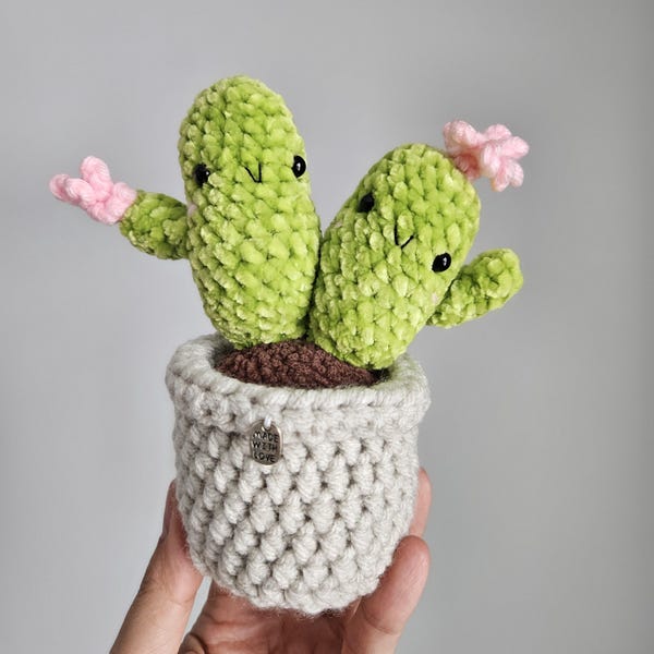 PATTERN: Crochet Mini House Plant Collection, Crochet Plant Pattern ...
