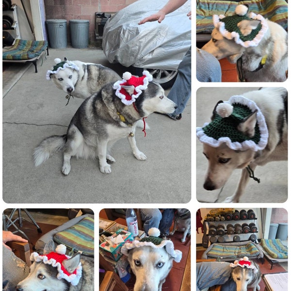 Santa Ruffle Dog Hat Crochet PATTERN - Etsy