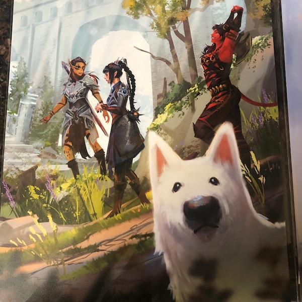 BG3 Baldur's Gate 3 Print Ft. Karlach Shadowheart Lae'zel Scratch ...