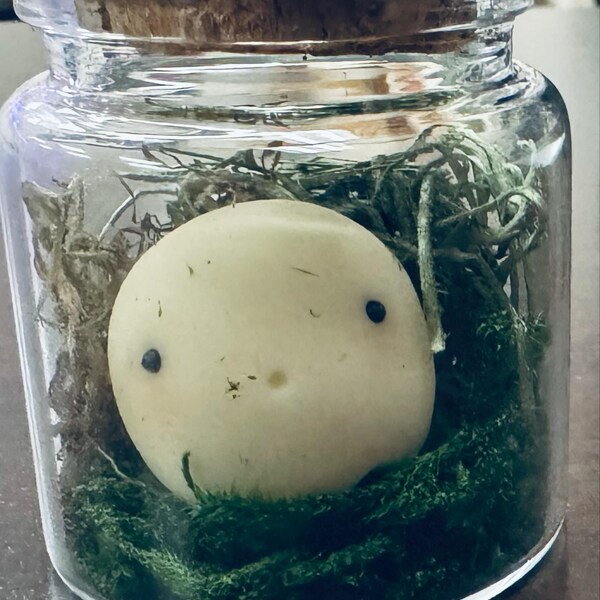 Adopt a Mini Rock Desk Pet - Etsy