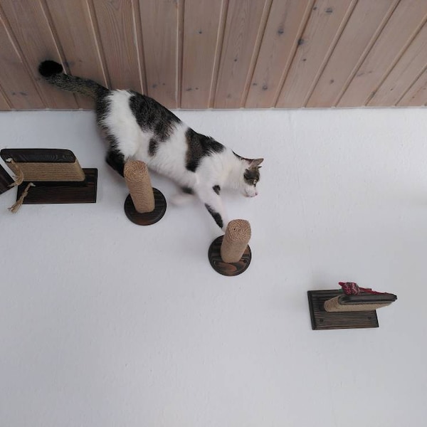 Cat Shelf, Wooden Cat Steps With Sisal Rope 5 Pc, Cat Lover Gift, Cat ...