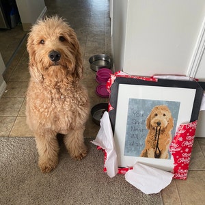 Goldendoodle Art Print, Goldendoodle Wall Art, Goldendoodle Dog Gift ...