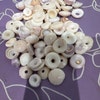 Small Hawaiian Cone Shells Handpicked From Oahu Beaches for Jewelry ...