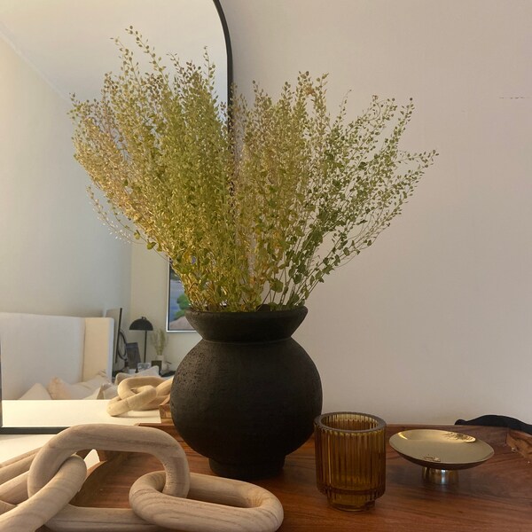 Dried Pepper Grass, Lepidium, Dried Grass, Grass Bunch, Green Grains ...