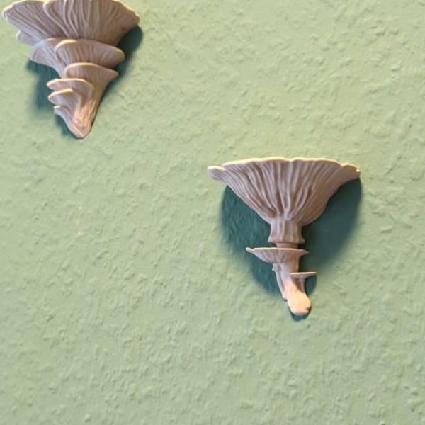 Mushroom Floating Shelf - the Amanita Fungus, Fungi Wall Shelf ...