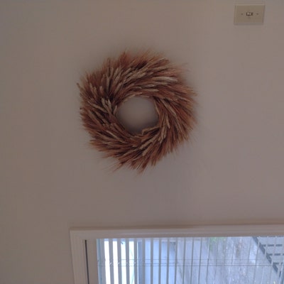 20 Pcs 1620 Lilac Billy Buttons, Purple Dried Craspedia, Billy Balls ...