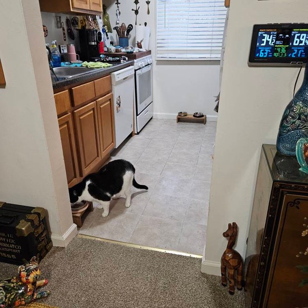 Farmhouse Cat Food Tray | Elevated Feeding Station - Etsy