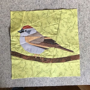 Blue Jay Paper Piecing Pattern - Etsy