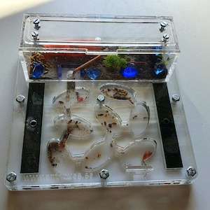 Sand Ant Farm Medium anthill Formicarium Educational Ants NO ANTS - Etsy
