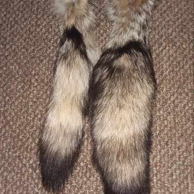 Eco Friendly Kit Fox Tails - Etsy