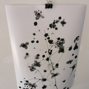 TAPFER & MUTIG Kunstdruck Poster Bild Typografie Fuchs Spruch - Etsy.de