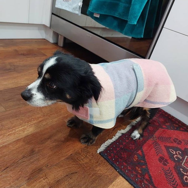 Dachshund Dog Coats, Wool Dog Coat, Sustainable Dog Coats, Recycled ...