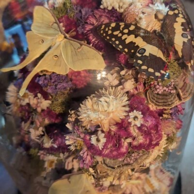 Vintage Bubble Glass Butterfly Frame autumnal - Etsy