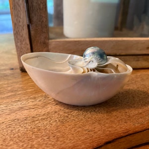 One Vintage Red Cross Pin 1919 Antique WW I Collectible ARC - Etsy