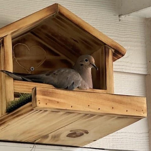 Large Handmade Dove House With Feeding Platform and Torched Finish ...