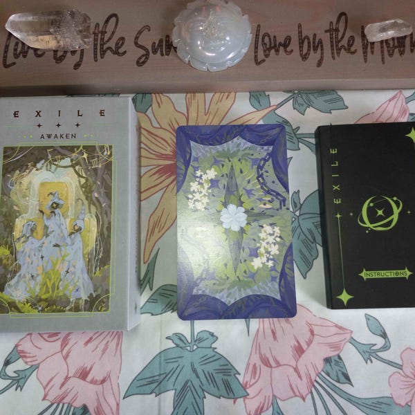 Exile Tarot by Chun Wei Huan RWS Dual Designs Bittersweet Journey of Growth Identity Building ...