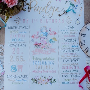 Alice in Wonderland Milestone Board, Baby Infographic, Onederland Girl ...