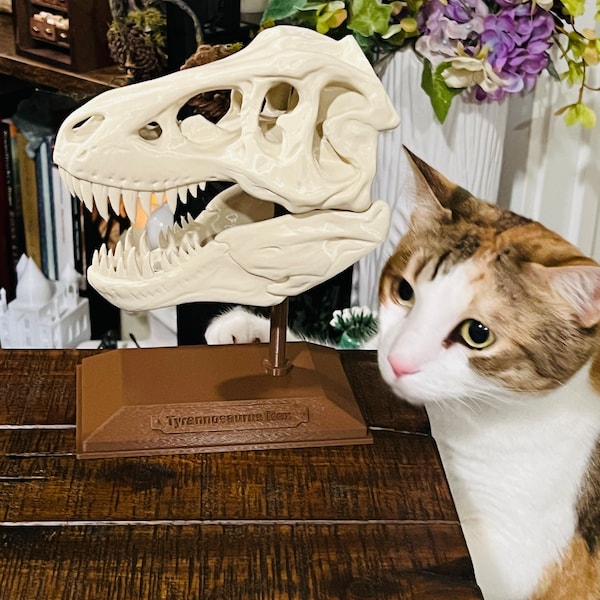 3D Printed Replica T-rex Dinosaur Skull Desk Display Sculpture ...