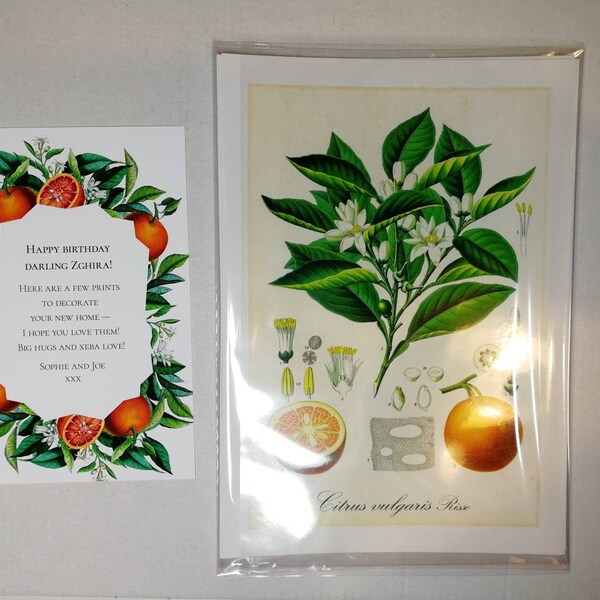 Premade Book Trilogy Cover Design Bundle, Paperback or Ebook Cover ...