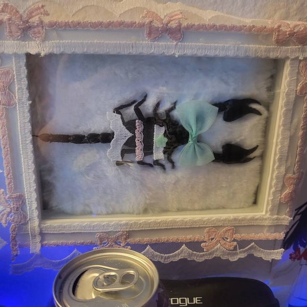 Clown Core Accessory Kawaii Patch Party Kei Kid Core Patch Star ...