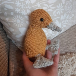 KNITTING PATTERN NEW Lucky Duckling - Etsy
