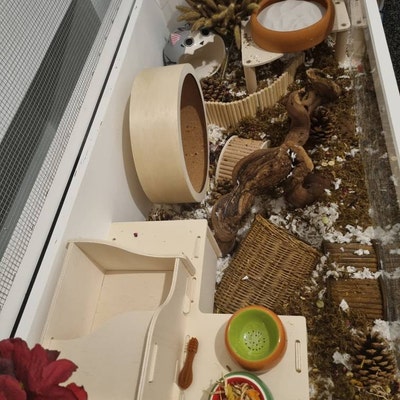 Hamster Watchbox Underground Tunnel Hideout House Home for Gerbil Small ...