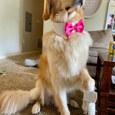 Dog Cuffs, Custom Dog Tuxedo Cuffs for Wedding, Dog Wedding Accessory ...