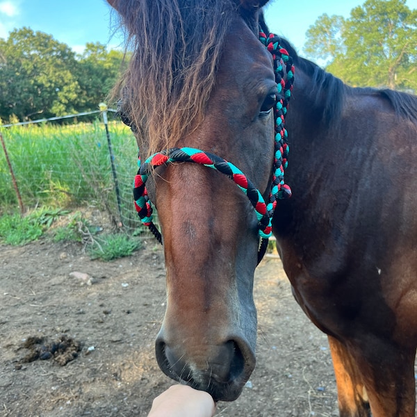 Mule Tape Horse Halter With Rope Noseband - Etsy