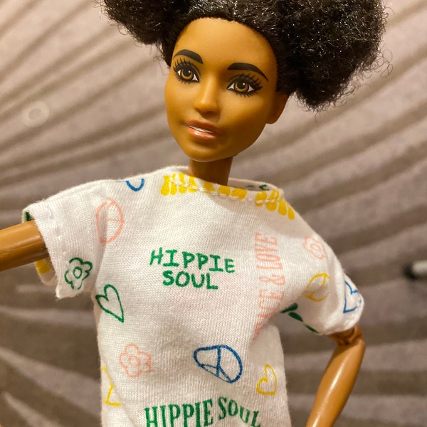 Fried Chicken Pngtuber, Kawaii Chicken Thigh Vtuber Model for Twitch ...