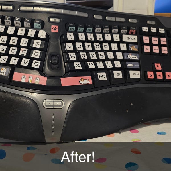 MacBook Keyboard Cover | Kapibala | Capybara | Keyboard Silicon Cover ...