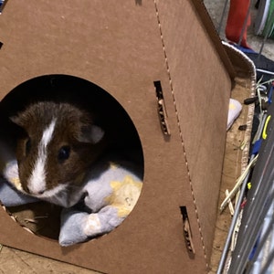 Cardboard Hobbit Style Hidey - Etsy