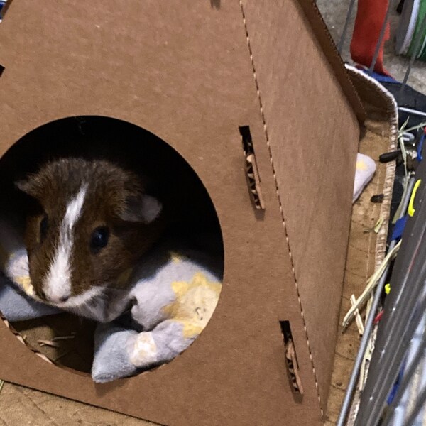 Cardboard Teepee Hidey - Etsy