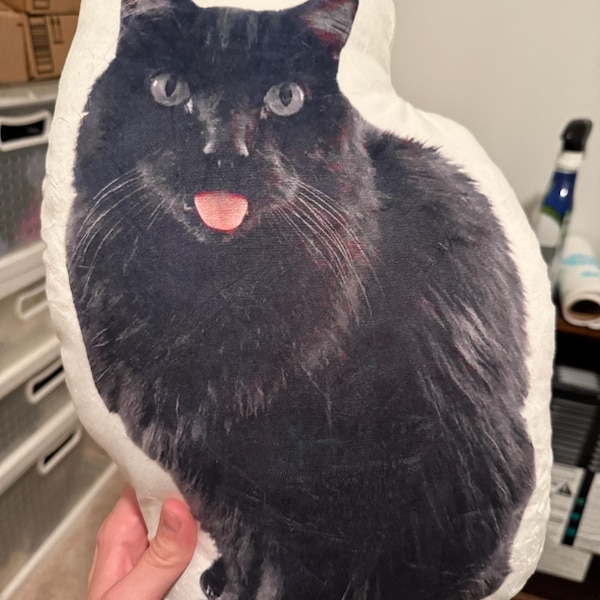 Custom Cat Pillow, Personalized 3D Cat Pillow, Ugly Cat Pillow, Cat ...
