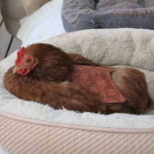 Mermaid Chicken Tutu - Etsy