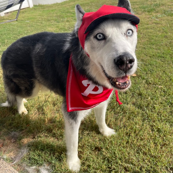 Dog Hat - Red Solid - Etsy