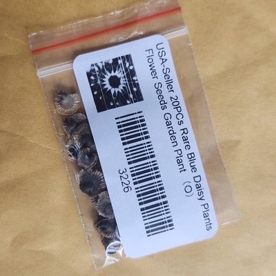 Usa-seller 20pcs Rare Blue Daisy Plants Flower Seeds Garden Plant.3226 ...