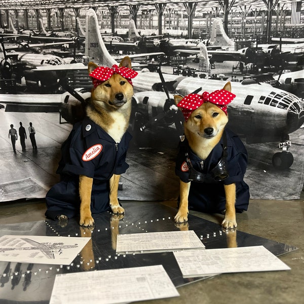 Rosie the Riveter Dog Headband - Etsy