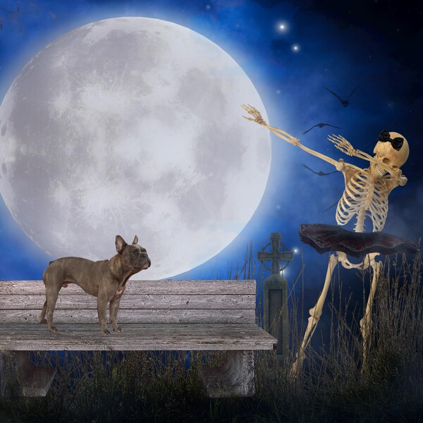 Fairy Digital Backdrop for Fotography Composites, Fairytale Pond ...