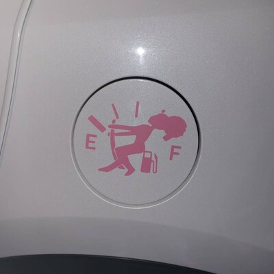 I Brake for Critters I Brake for Animals People Ehh Car Decals for ...