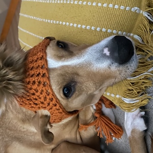 Corgi Beanie Dog Beanie Corgi Hats Dog Hat Dog Beanie - Etsy